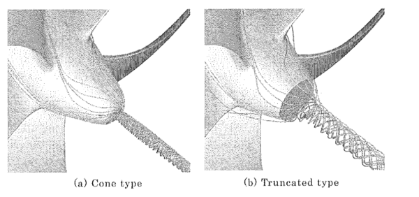 PBCF (プロペラボスキャップフィンズ) 開発秘話 | 船舶の省エネ装置｜PBCF｜商船三井テクノトレード株式会社